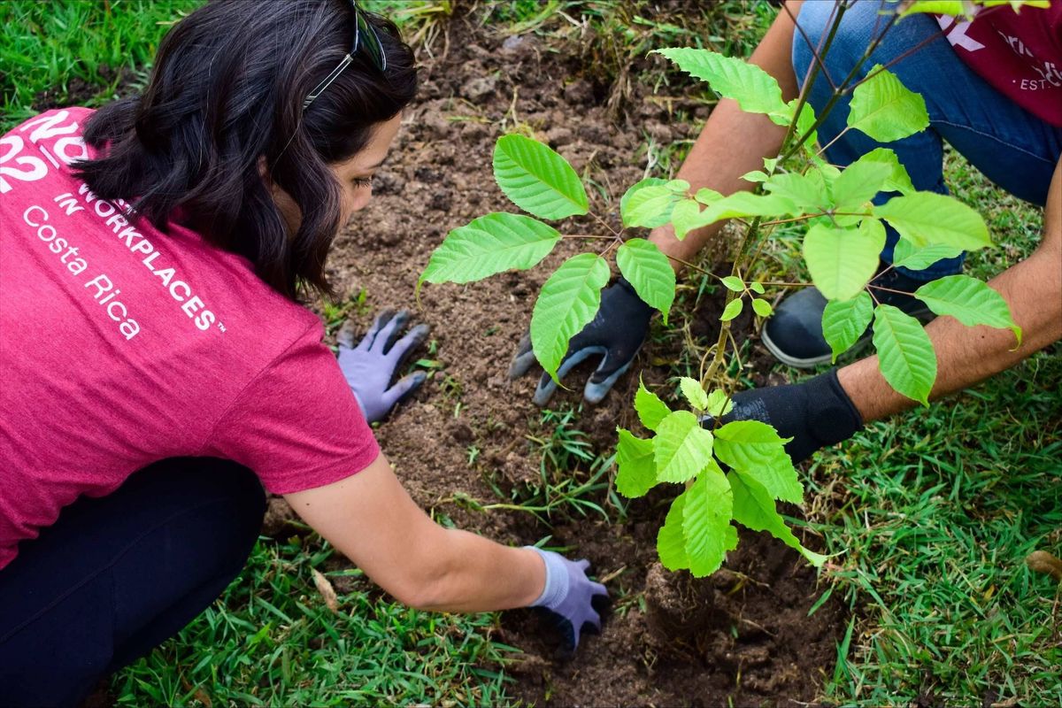 A Year in Review: World Wide Technology Sustainability Initiatives 2025 ...