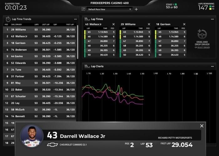 Making Sense of Race Data - WWT