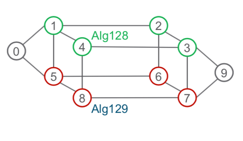 Segment Routing 8851