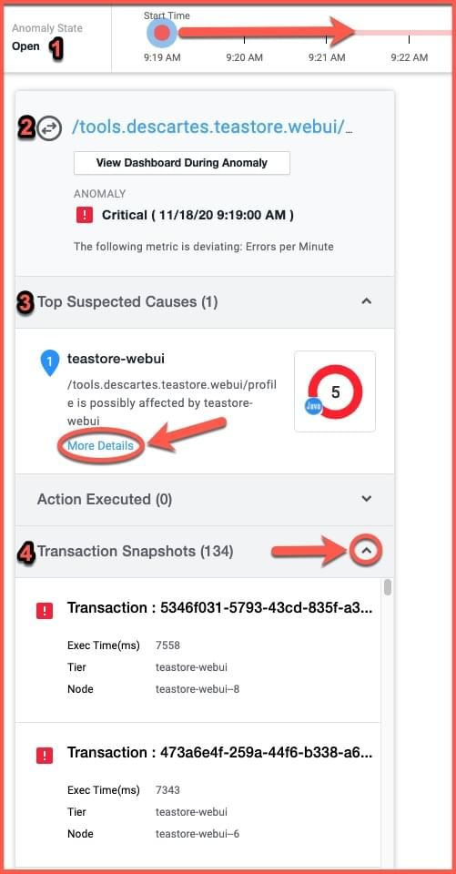 AppDynamics Essentials: Anomaly Detection - WWT