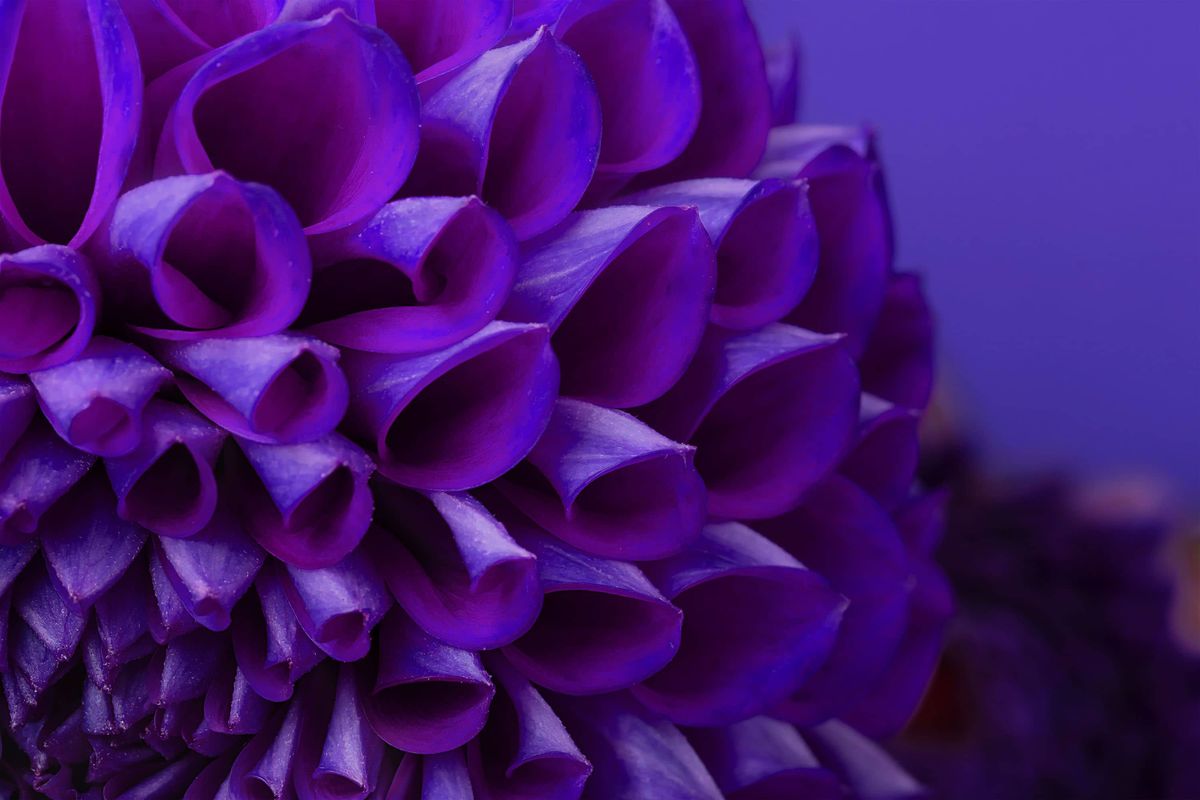 How to Automate Everything Right: WWT's 6 Principles of Automation - WWT